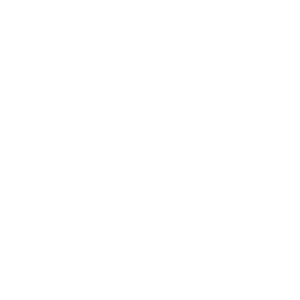 Single Service – ITech